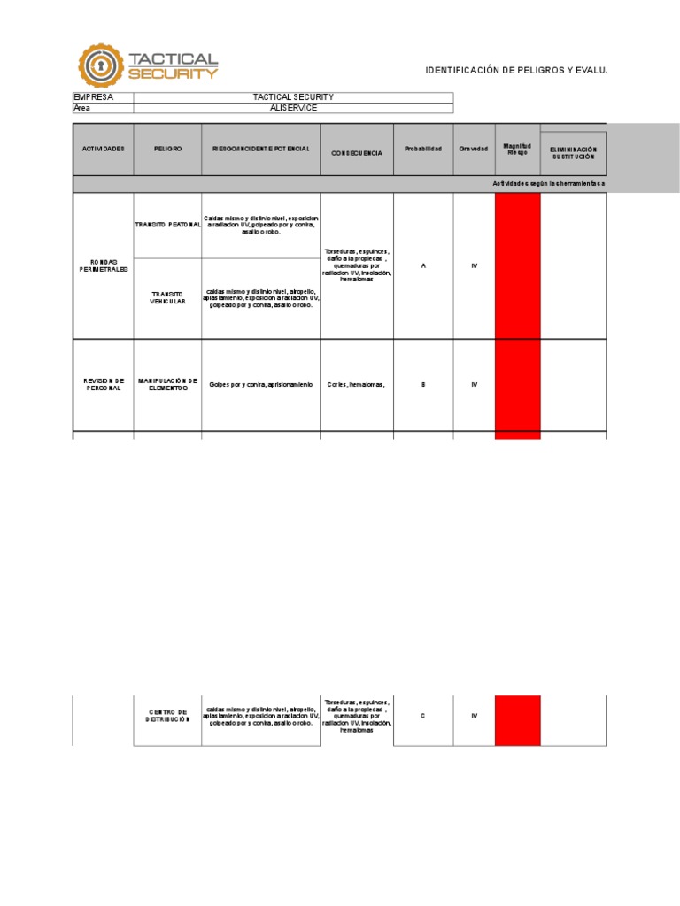 Matriz de Riesgos Tactical Security | PDF