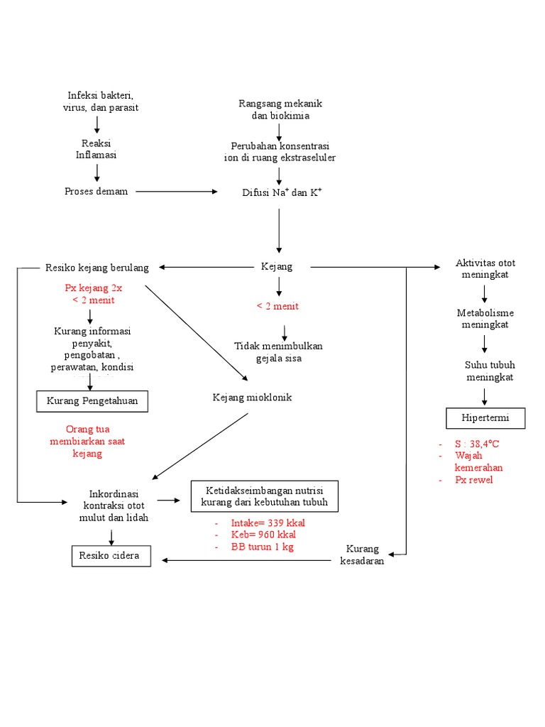 Pathway Kejang DemamX | PDF