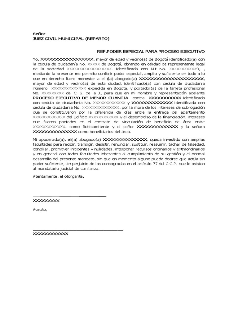 Modelo Poder Proceso Ejecutivo | PDF