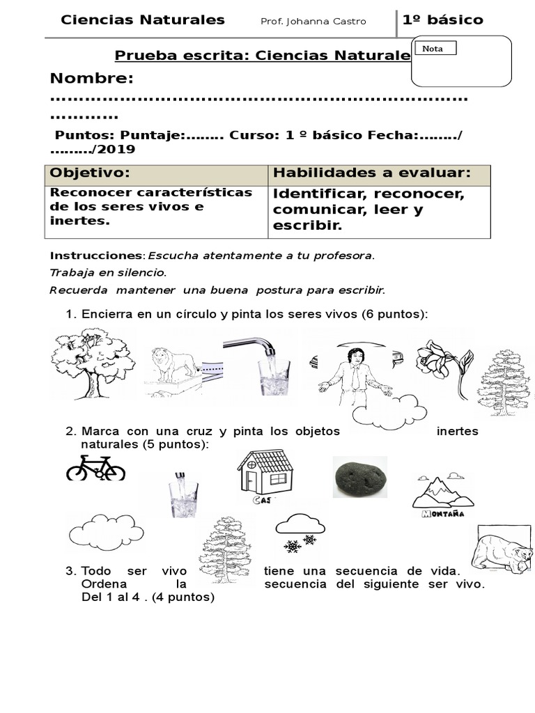 Prueba Seres Vivos-Objetos Inertes | PDF