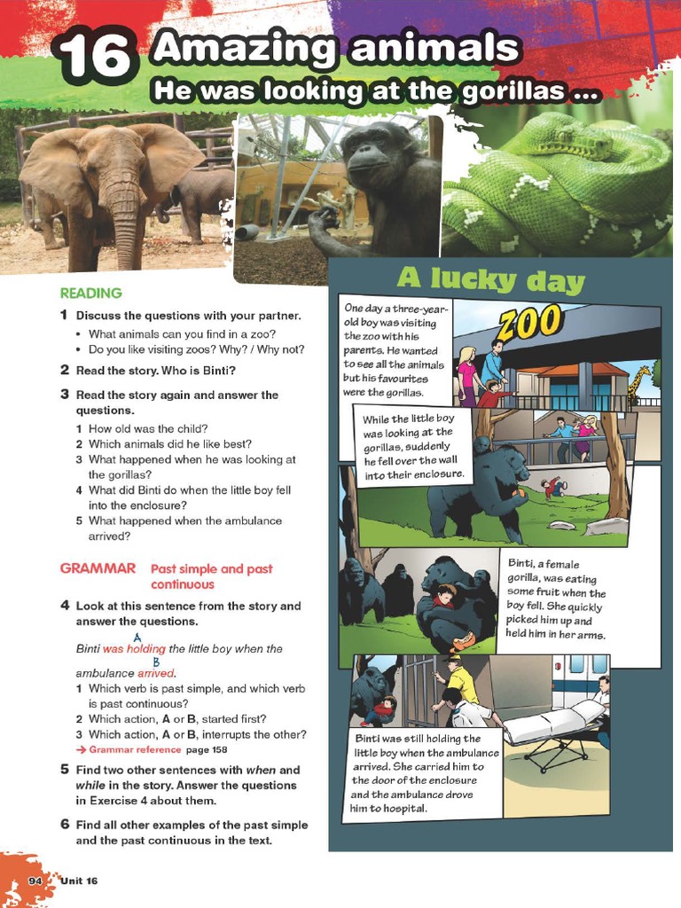 Module 16 Amazing Animals | PDF