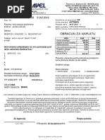Obrazac Putni Nalog | PDF