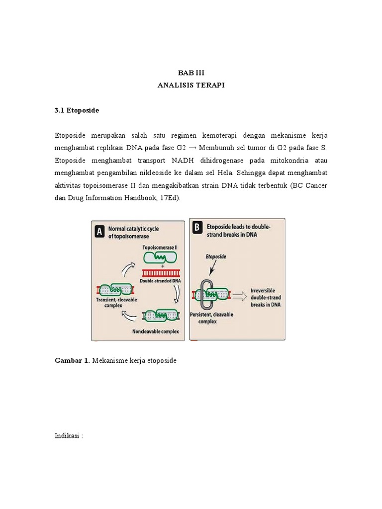 Etoposide dalam Regimen EMACO Kemoterapi | PDF | Pengembangan Diri | Sains & Matematika