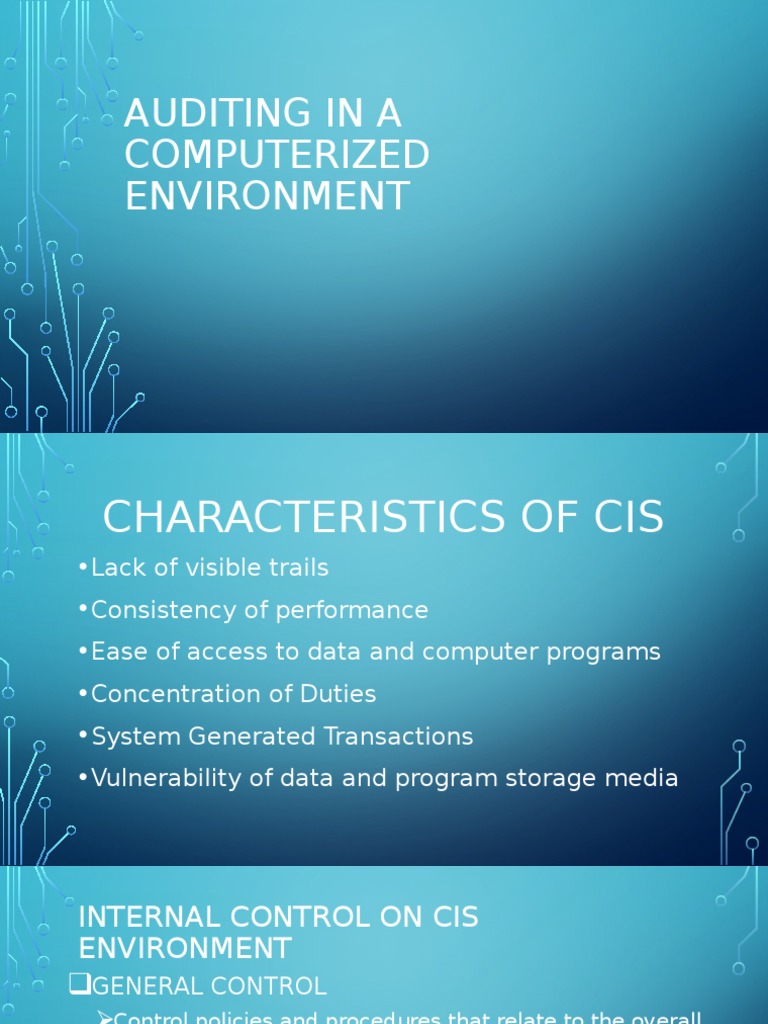 Auditing in A Computerized Environment | PDF