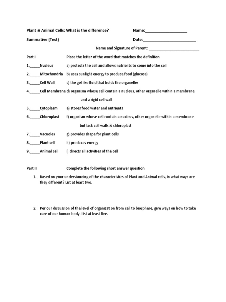 Plant vs Animal Cells Test | PDF | Science & Mathematics
