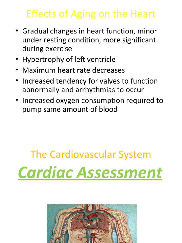 Aging Effects on Heart Function | PDF | Heart | Hypercholesterolemia