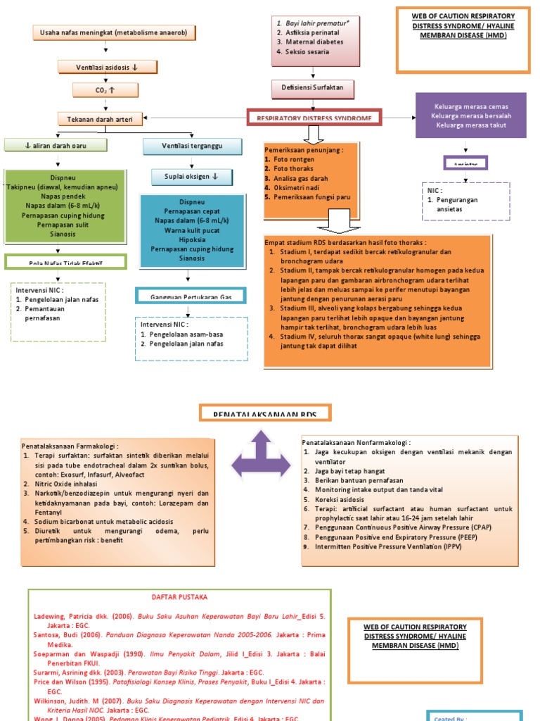 WEB OF CAUTION: THE INTERTWINED RISKS AND MANAGEMENT OF RESPIRATORY ...
