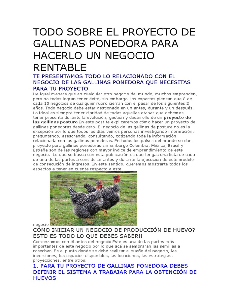 Todo Sobre El Proyecto de Gallinas Ponedora para Hacerlo Un Negocio Rentable | PDF | Cocina ...
