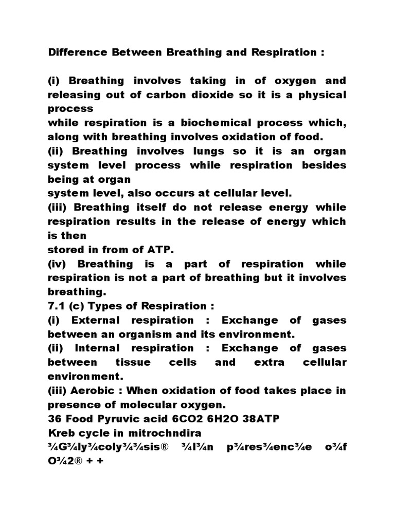 Difference Between Breathing and Respiration | PDF