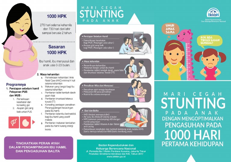 Leaflet Stunting | PDF