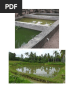Compartments of A Fishpond and Functions | PDF