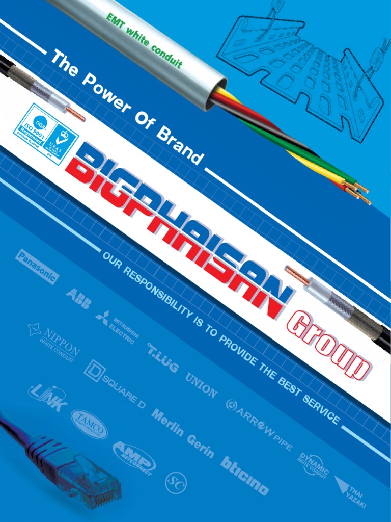The Power of Brand | PDF
