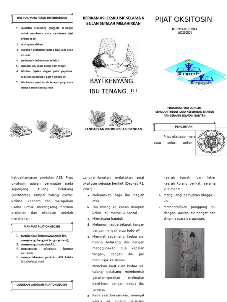 Leaflet Pijat Oksitosin | PDF