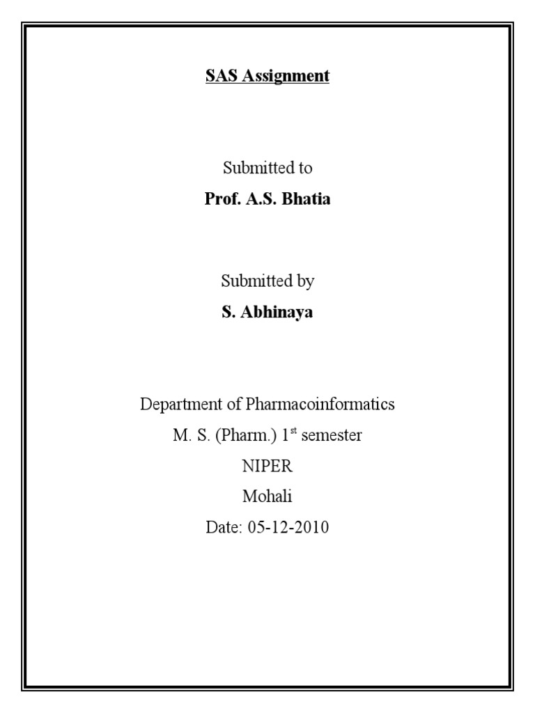 Computer Application Assignment | PDF