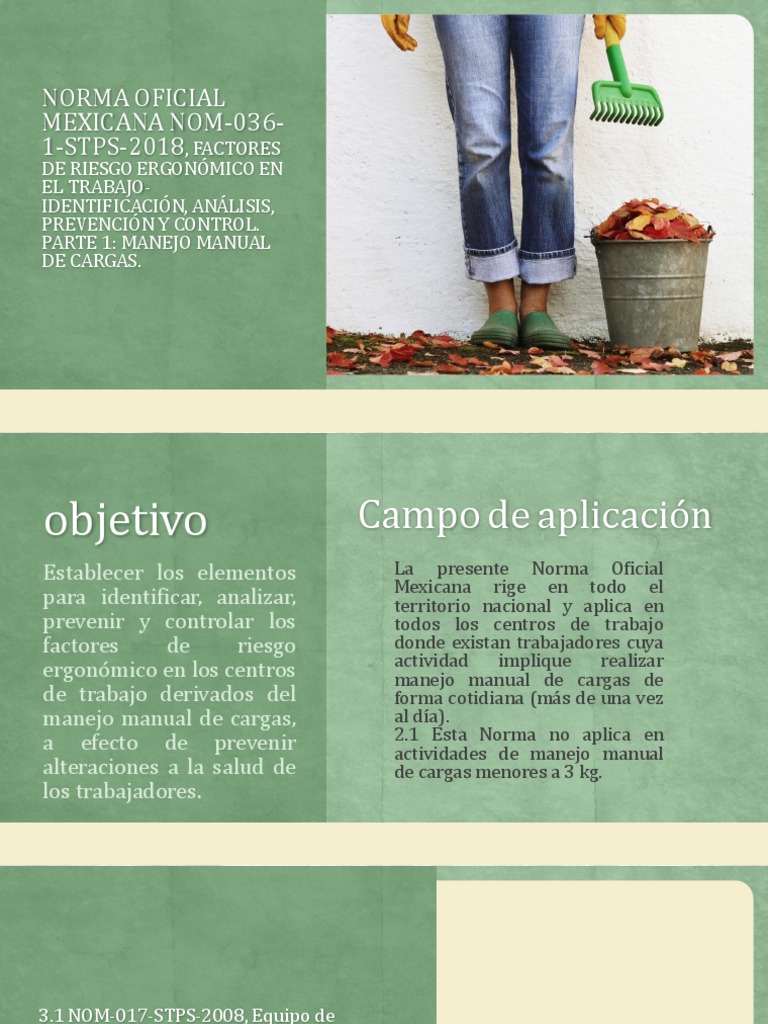 NORMA OFICIAL MEXICANA NOM-036-1-STPS-2018 Fede | PDF