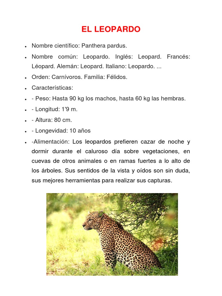 El Leopardo | PDF