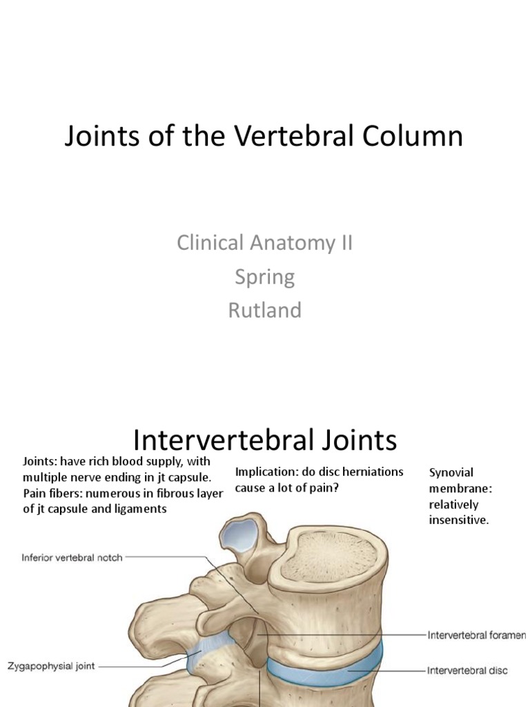 2020 Lecture 3 Joints of The Vertebral Column | PDF