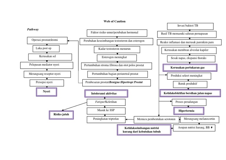 Pathway Hipertropi Prostat | PDF