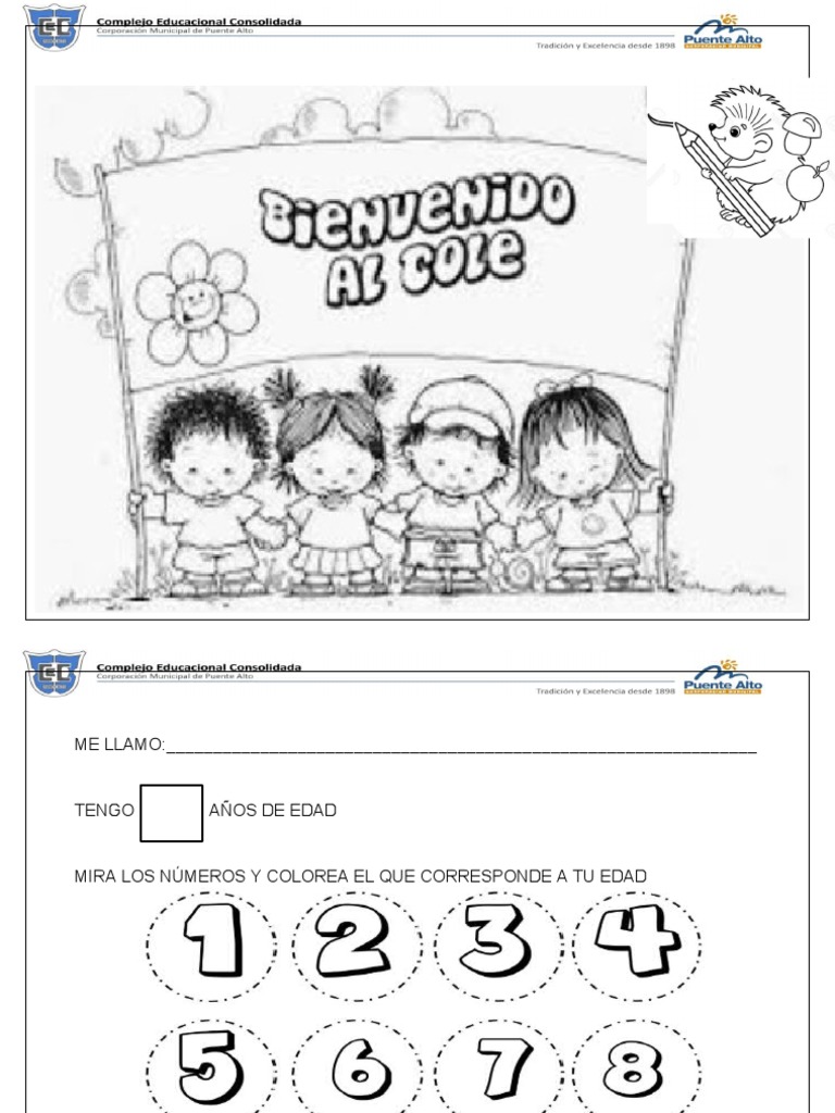 Actividades para Primer Grado | PDF
