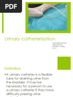 Catheter Care: RCN Guidance For Health Care Professionals | PDF ...