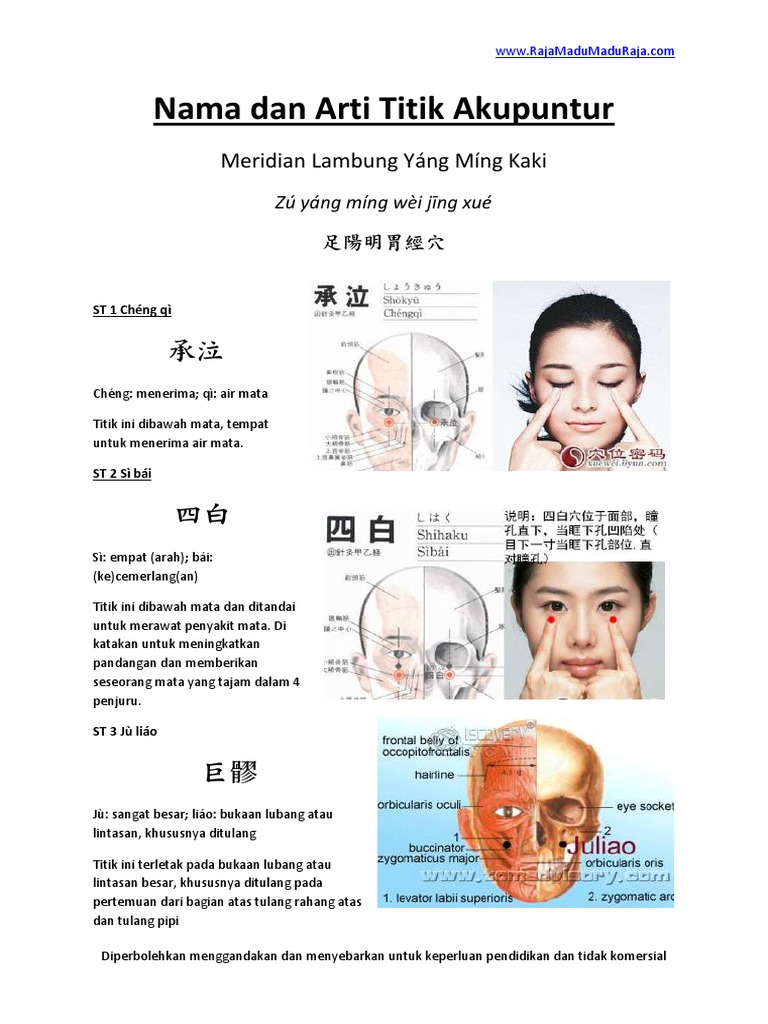 Nama Dan Arti Titik Akupuntur Meridian Lambung PDF | PDF