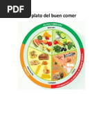 Triangulo de Los Alimentos | PDF