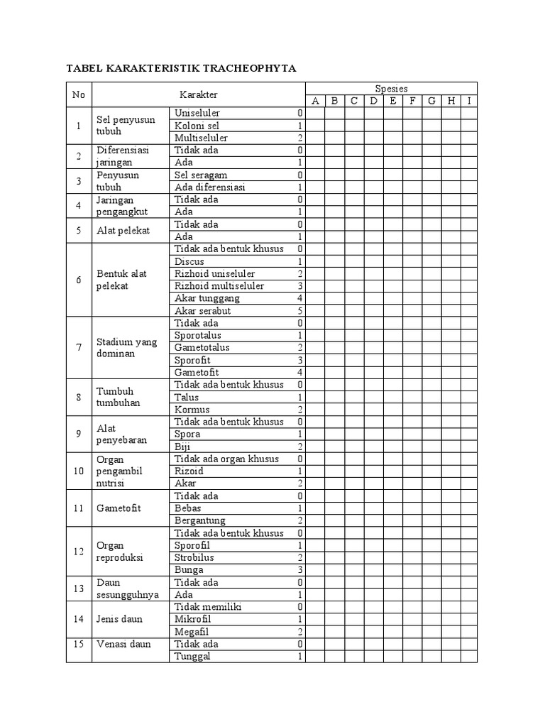 Tabel Karakteristik Tracheophyta + Tabel Transformasi Fenogram Newww | PDF