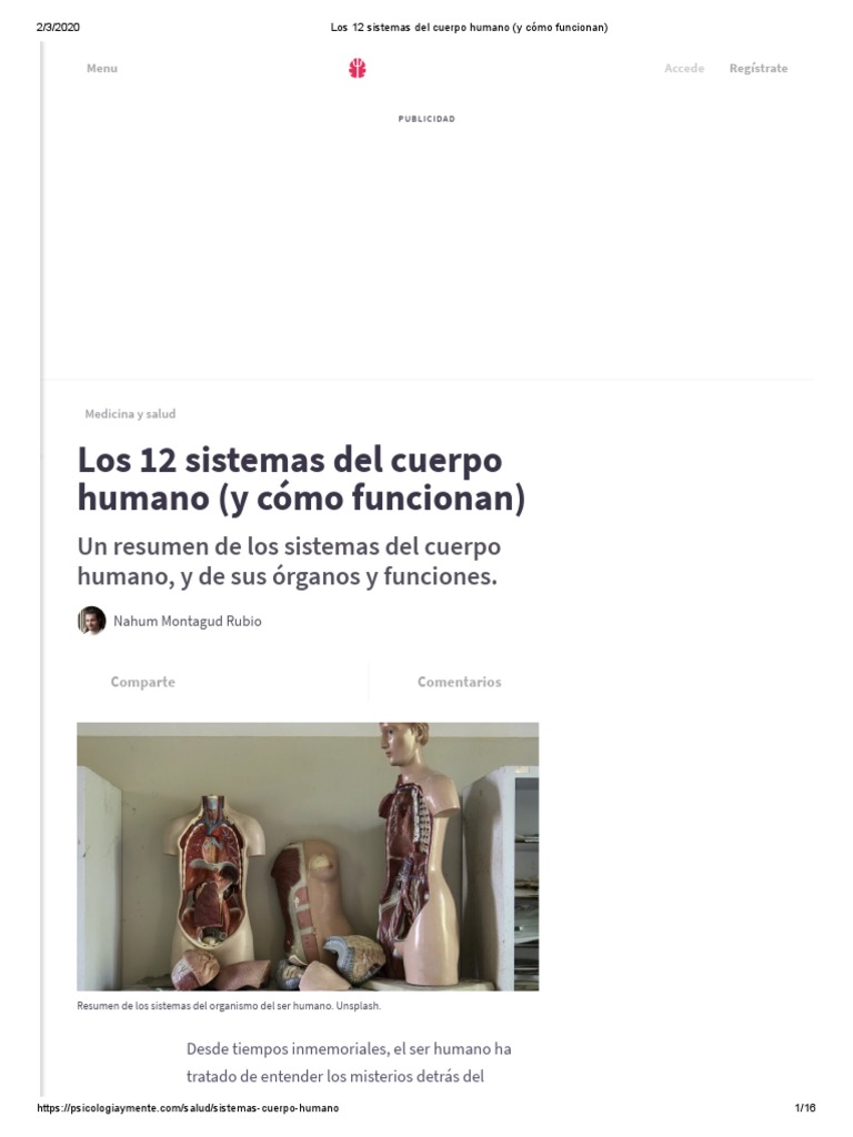 Los 12 Sistemas Del Cuerpo Humano (Y Cómo Funcionan) 1 PDF | PDF