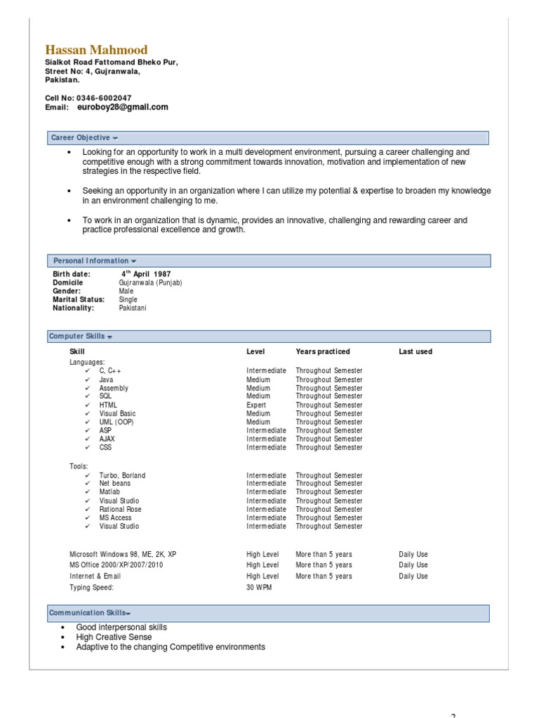CV Hassan | PDF | Programmer | System