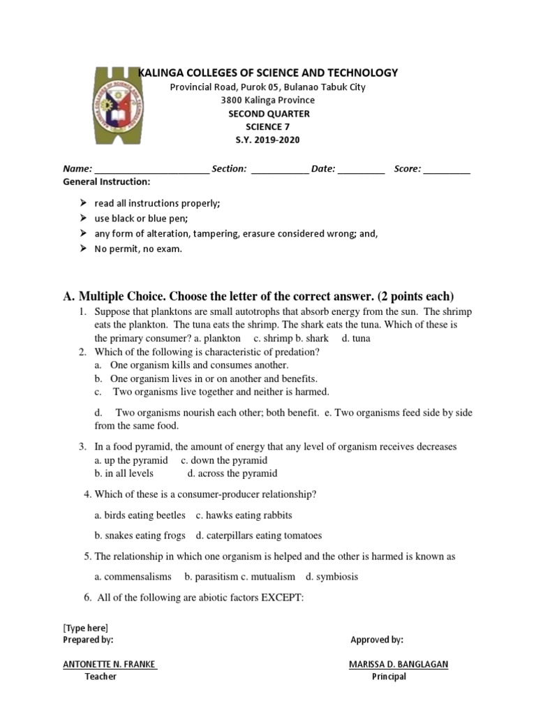 Grade7 Exam | PDF