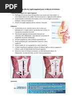Anatomia Clínica Da Região Inguinal | PDF | Testículo | Anatomia