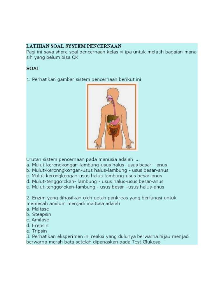 Latihan Soal System Pencernaan | PDF