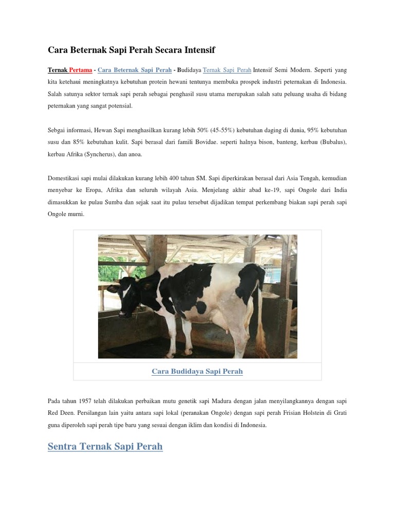 Panduan Ternak Sapi Perah Intensif | PDF