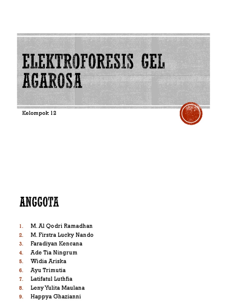Elektroforesis Gel Agarosa | PDF