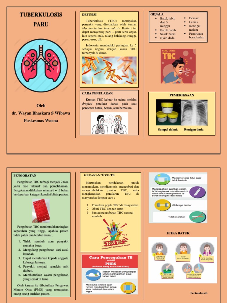 Leaflet TB | PDF