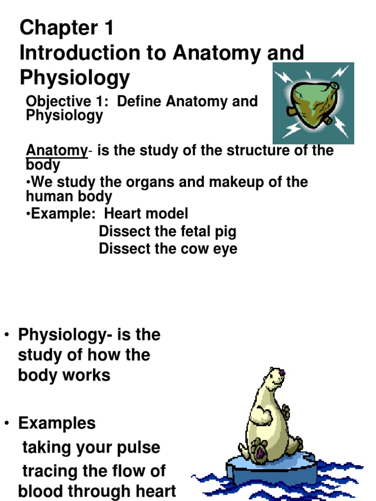 Introduction To Anatomy and Physiology | PDF