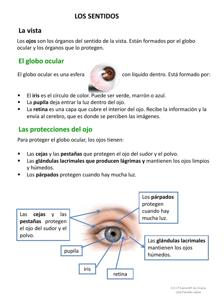 Los-Sentidos Unidad 4 Naturales 3 Primaria | PDF