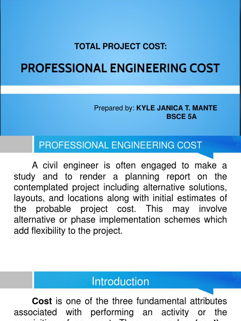 Professional Engineering Cost | PDF