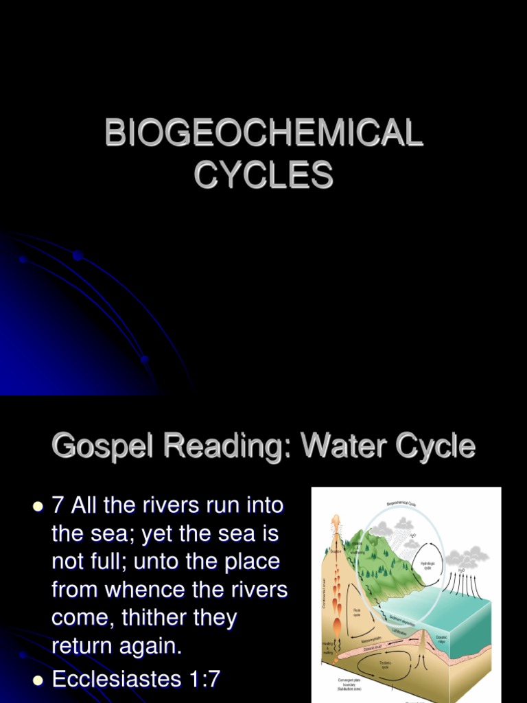 Lecture 4 Biogeochemical Cycles | PDF
