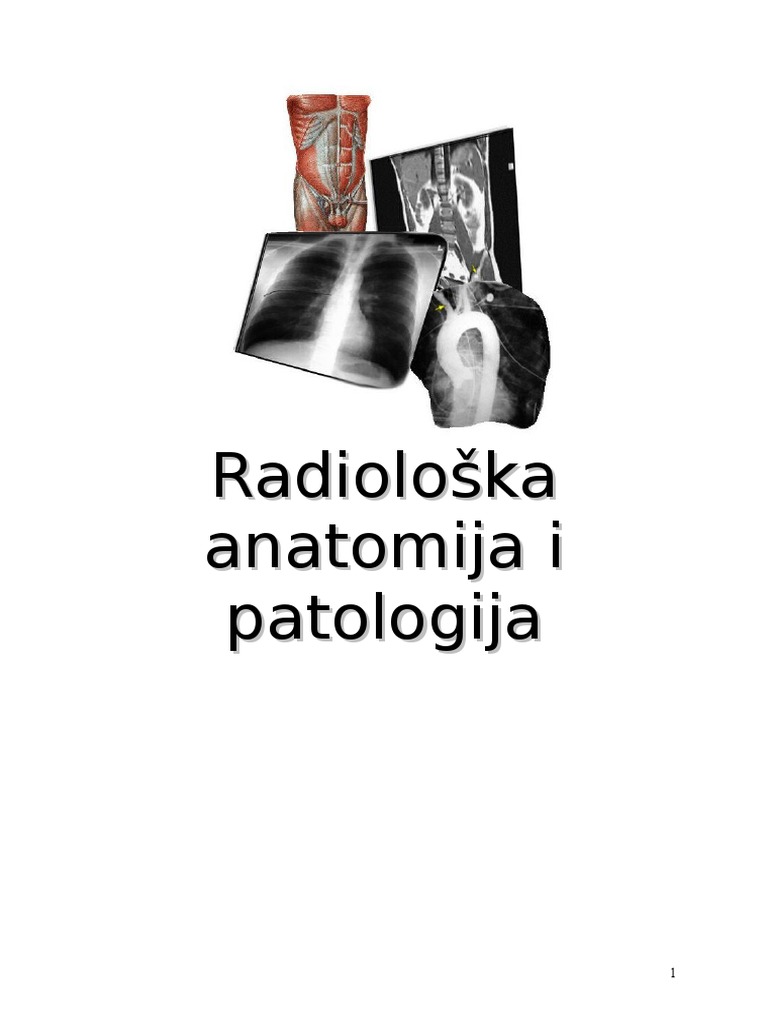 Radiološka Anatomija Skripta | PDF