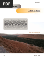 Plan Maroc Vert : Enjeux et Perspectives | PDF | Maroc | Agriculture