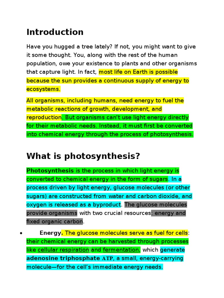 Photosynthesis | PDF