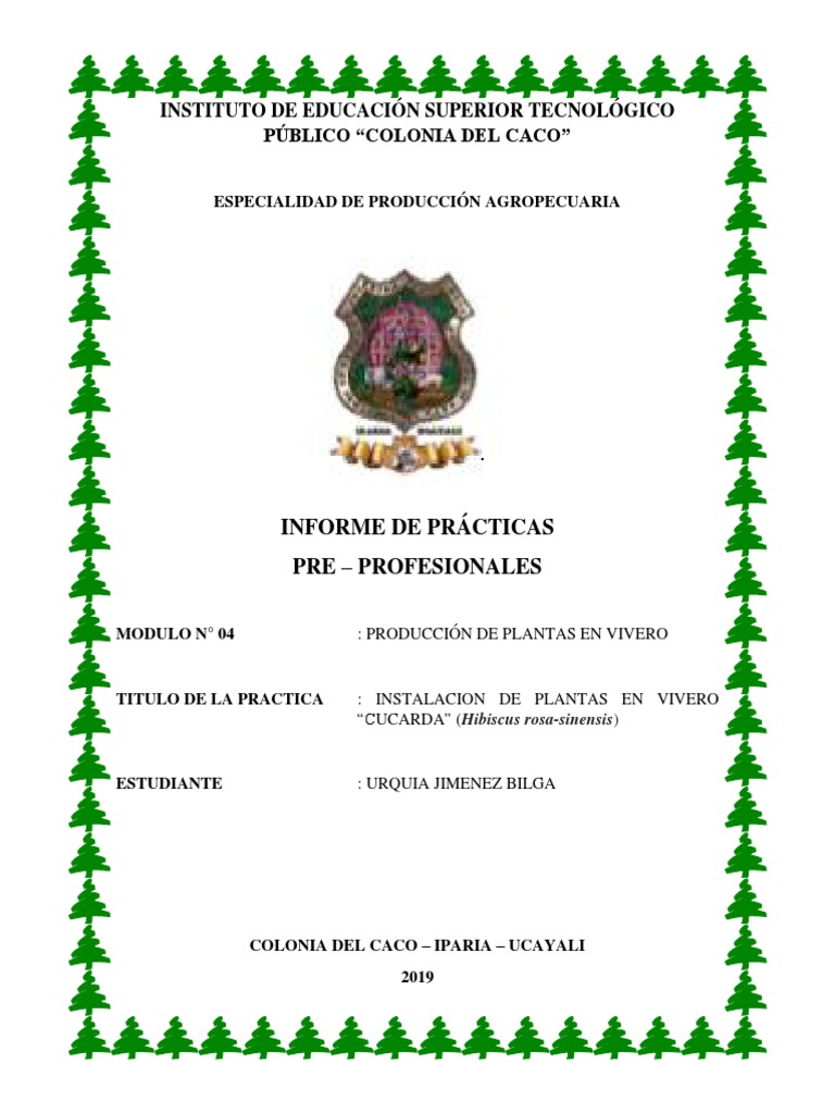 Practica en Cucardas | PDF