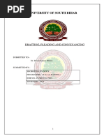 Format of A Plaint in A Civil Suit Drafting | PDF | Lawsuit | Cheque