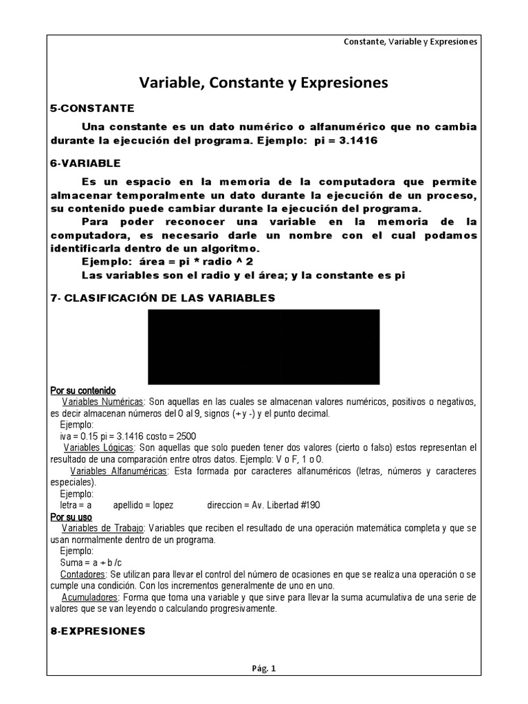 Constantes Variables y Expresiones | PDF