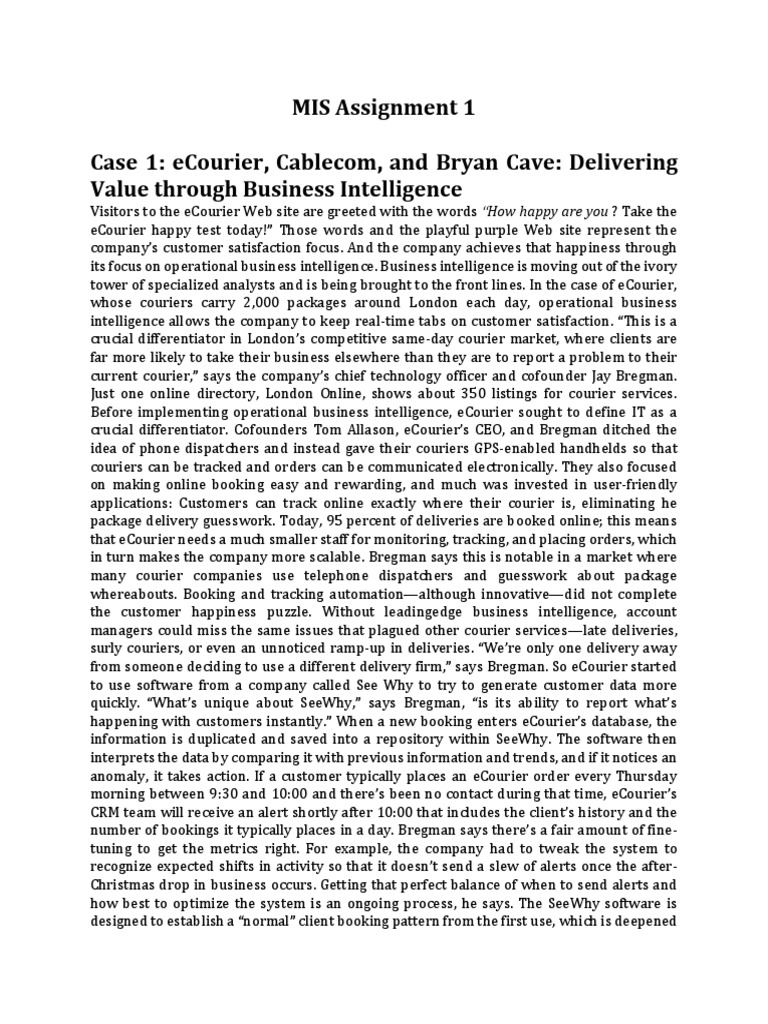 Assignment 1 MIS Group C | PDF