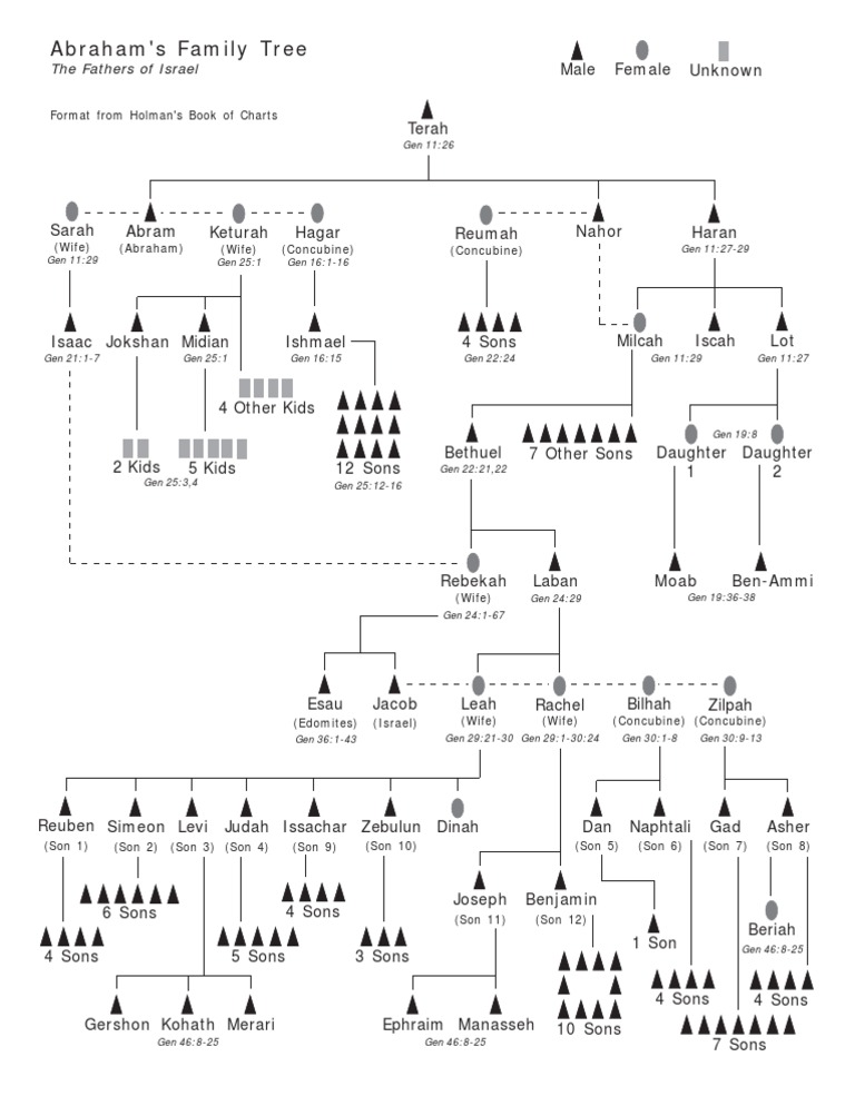 Abraham's Family Tree Overview | PDF