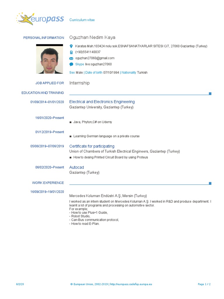 CV PDF | PDF | Cognition | Communication