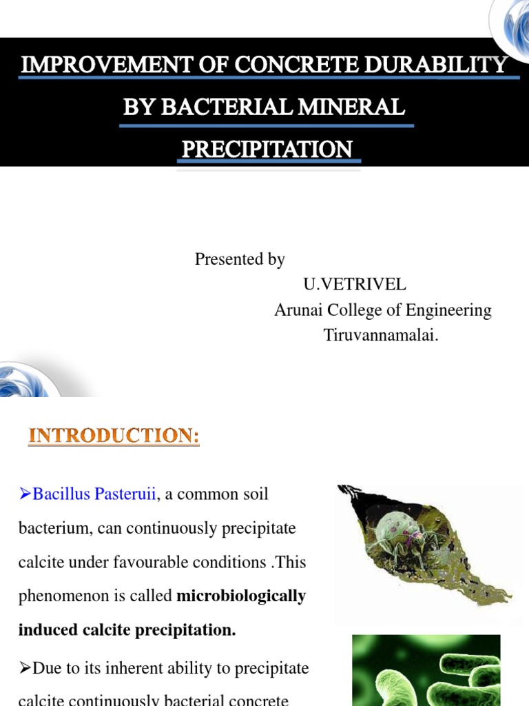 Bacterial Concrete | PDF | Bacteria | Concrete