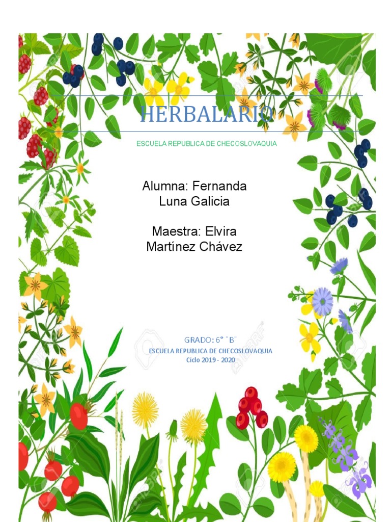 Herbalario Word | PDF | Cilantro | Perejil
